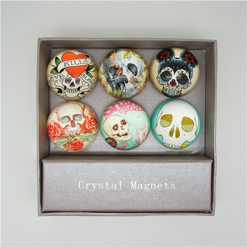 themes serise glass fridge magnet/gift sets for housewarming/domed ...