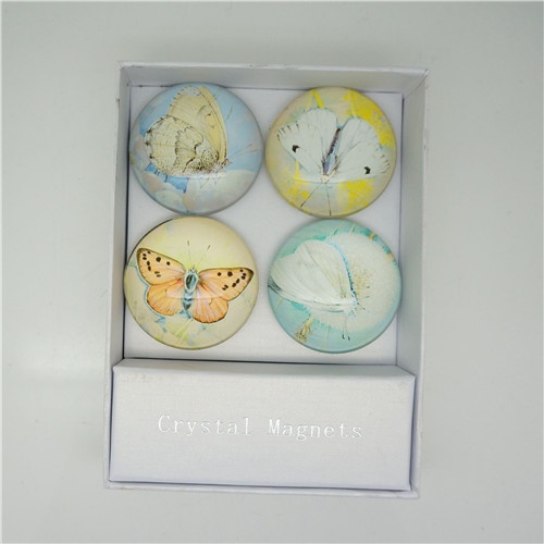 butterfly serise glass fridge magnet/gift sets for housewarming/domed ...